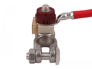 Battery Terminal (Cube) Fuses | 12 Volt Planet