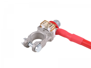 Fused Positive Battery Terminal Clamp With Isolation Washer & Nut | 12 ...