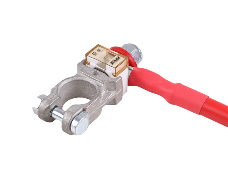 Battery Terminal (Cube) Fuses 50-300A | 12 Volt Planet