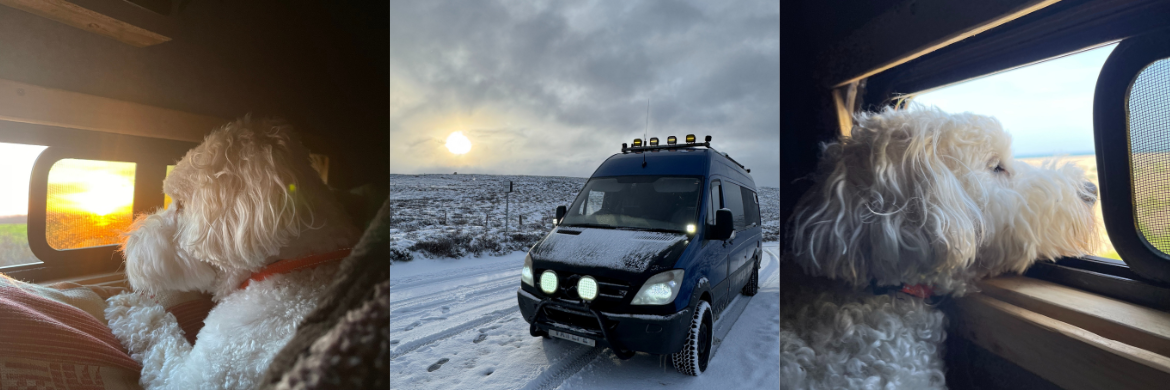 Project Camper: Building a Life Off-Grid, One Wire at a Time